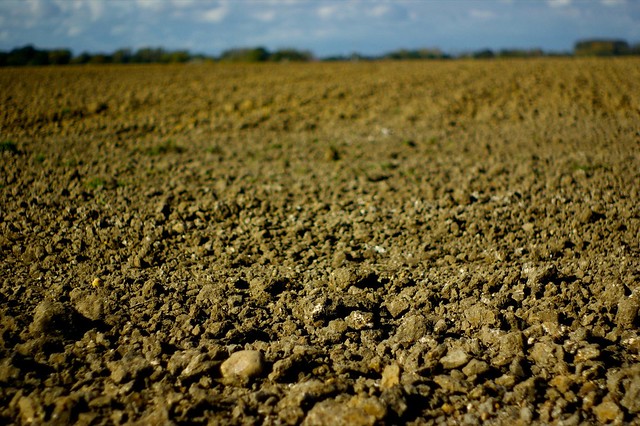 Impact du compactage du sol sur le développement des cultures - Agrifind